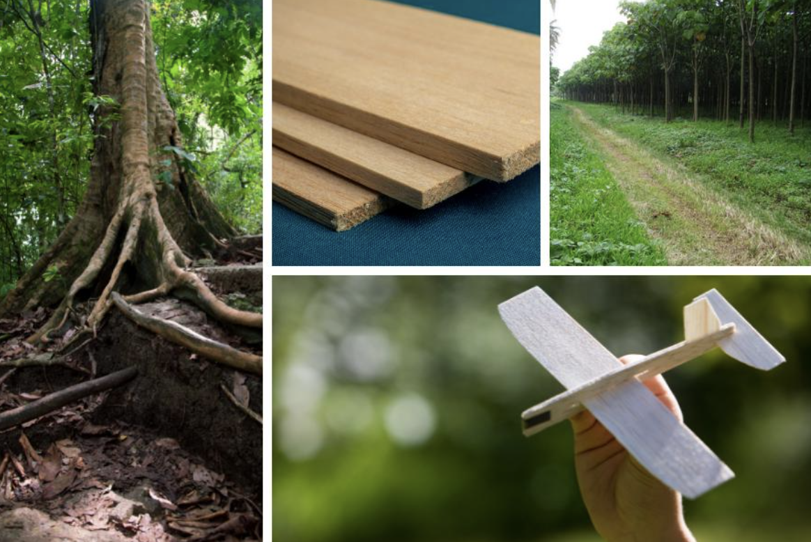Balsa Wood – Erem Global